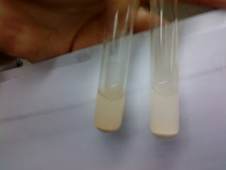Memories of 0903PM10: Chemistry (Off-White Precipitate)